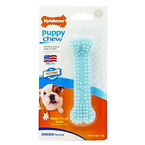 Nylabone Bone Puppy Dog Chew Toy, Petite Blue