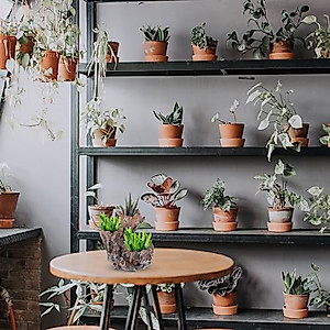 GANAZONO Flower Decor Driftwood Succulent Pot Driftwood Stump Log Planter Succulent Pot Resin Plant Pot Multilayer Planter Tree Root Flower Pot Holder Bonsai Pot Grey Garden Planter Desktop Decor