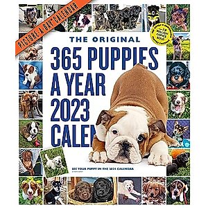 365 Puppies-A-Year Picture-A-Day Wall Calendar 2023: Absolutely Spilling Over With Puppies