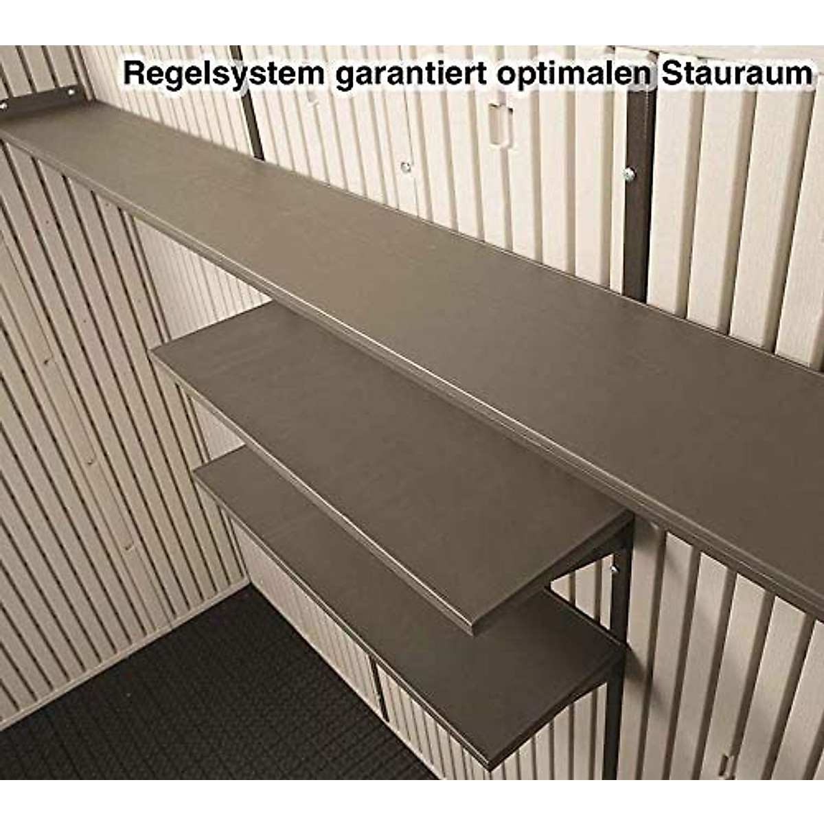 Lifetime 6405 Outdoor Storage Shed with Window, Skylights, and Shelving, 8 by 10 Feet