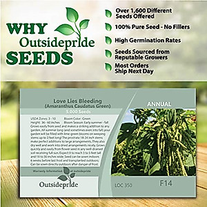 Outsidepride Amaranthus Green Love Lies Bleeding Garden Foliage Plant Bush Seeds - 5000 Seeds