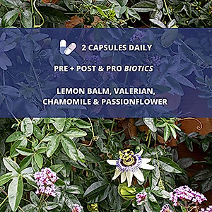 Garden of Life Dr. Formulated Probiotics Platinum Series Restore Sleep with Herbs 200 Billion CFU Guaranteed Plus Valerian Chamomile and More for Digestion, Immune Support, Restful Sleep, 28 Capsules