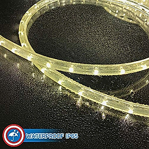 Russell Decor LED Rope Lights Festival Holiday Party Seasonal Christmas Decoration 30ft - 200ft Customized Available (Warm White, 20)