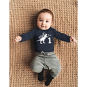 rawr im 1 Dinosaur First Birthday boy Outfit 1st Roar one Year Old Dino Shirt rex (Charcoal Black - Long Sleeve, 12 Months)