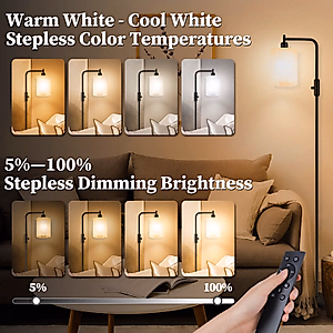 OUTON Modern Floor Lamp, Dimmable Industrial Floor Lamp with Remote Control, Stepless Color Temperature, Timer, LED Tall Stand Lamp with Hanging Frosted Glass Shade for Living Room, Bedroom, Office