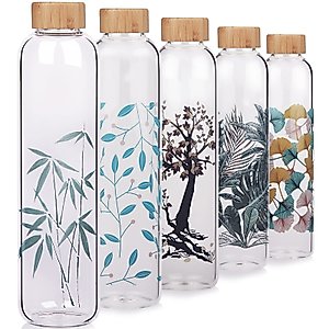 Cleesmil Borosilicate Glass Water Bottle 16 oz / 32 oz BPA Free Reusable Glass Drinking Bottle with Neoprene Sleeve and Bamboo Lid (32 oz, Bamboo)