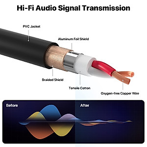 EBXYA XLR Cables 100ft 2 Pack - Mic Cables Balanced DMX Cable Male to Female Suitable for Microphones, Radio Station, Stage Lighting