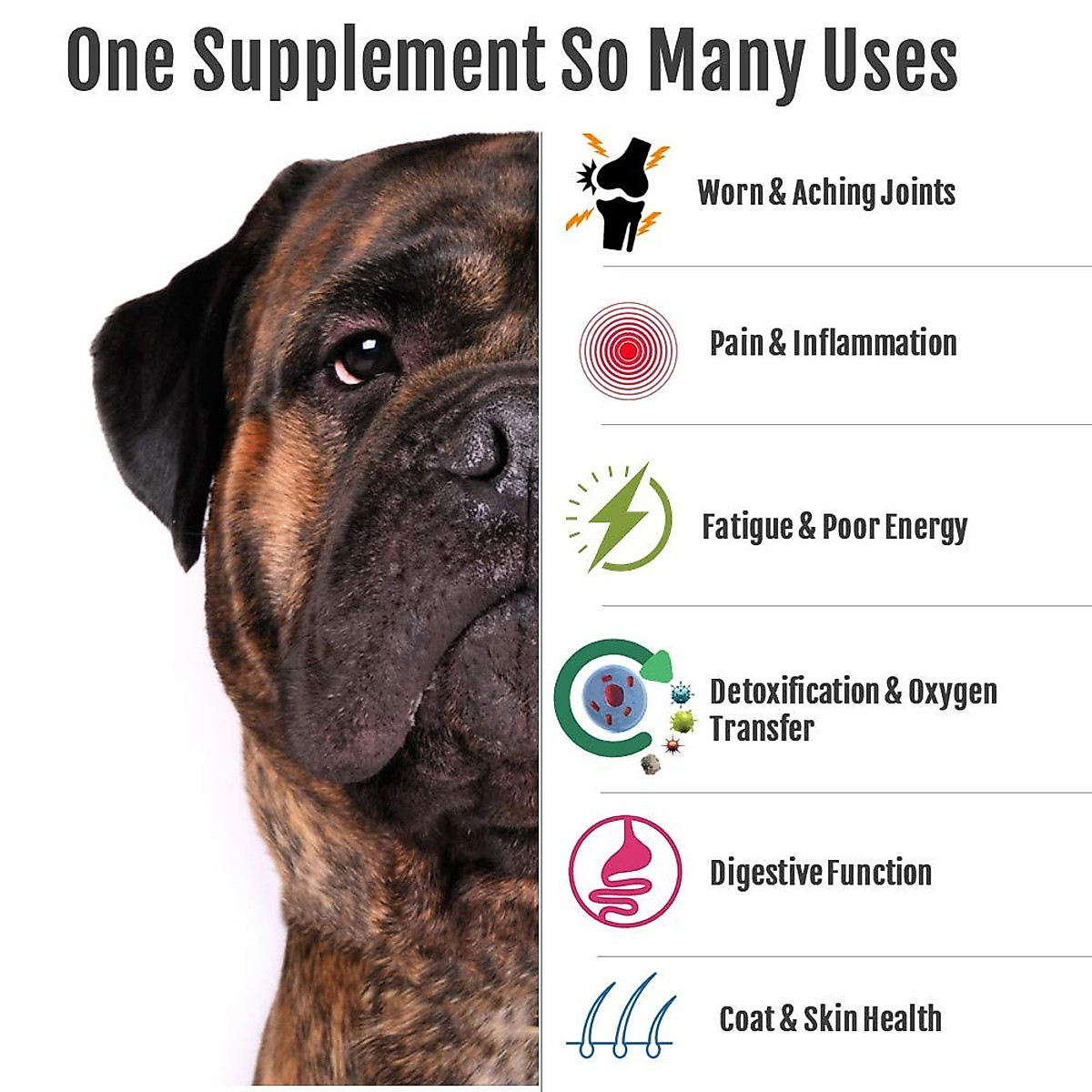 Pure MSM Joint Supplement for Dogs, Cats, & Horses – 100% Additive-Free – High Performance, Supports Senior Pets Wellness, Healthy Joints, Mobility, Aches, & Fatigue – HAPPY BODY - 7oz