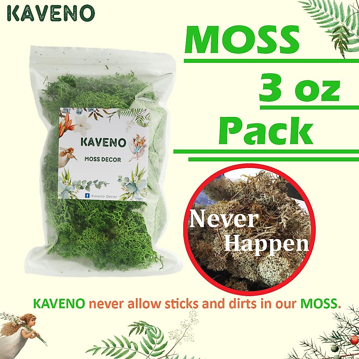 Moss Preserved, Green Moss for Fairy Gardens, Terrariums, Any Craft or Floral Project or Wedding Other Arts (Green, 3OZ)