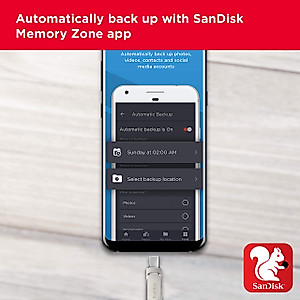 SanDisk 256GB Ultra Dual Drive Luxe USB Type-C - SDDDC4-256G-G46, Black
