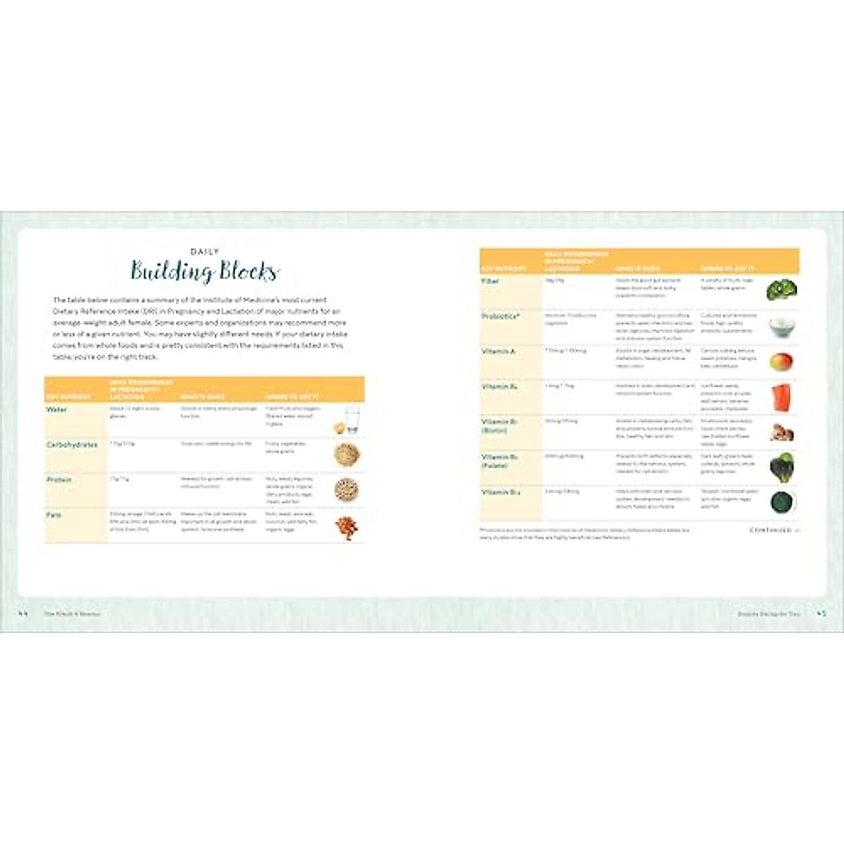 The Whole 9 Months: A Week-By-Week Pregnancy Nutrition Guide with Recipes for a Healthy Start