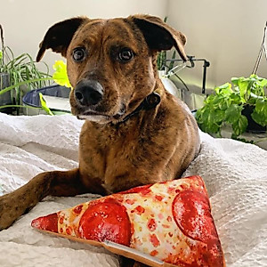 Doggijuana | Refillable Catnip Dog Toy | Naturally Calming | Catnip Grown in The USA (Pizza)