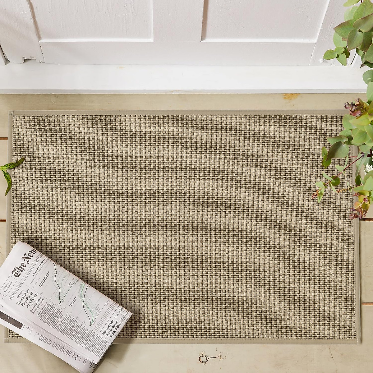 Artoid Mode Washable Non Slip Rubber Backing Kitchen Rugs Doormat, Absorbent Kitchen Floor Mats Front of Sink Kitchen Mats for Floor Home Decor 24x35 Inch