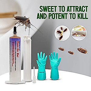 Neogen Sure Kill Roach Gel Bait- Roach Killer Indoor Infestation- Kill Roaches Indoor and Outdoor- Perfect Household Solution- Available with Premium Quality Centaurus AZ Gloves- 40 Gram