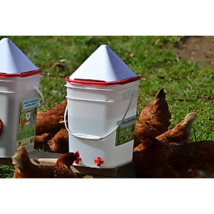 RentACoop 5 Gallon Chicken BPA-Free Plastic Bucket Waterer Set with 4 Horizontal Nipples - Corner Placement