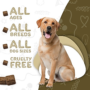 waggedy Daily Essentials Adult Soft Chews — Dog Multivitamin & Immune System Supporter — Dog Nutritional Supplement — Small/Large Dog Supplements & Vitamins (60 Chews)