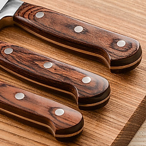 AOKEDA 15-Piece Kitchen Knife Set with Block, Stainless Steel Knives, include Sharpener, Poultry Shears (Classic Pakkawood)