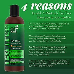 Artnaturals Tea Tree Shampoo - (12 Fl Oz) - Made with 100% Pure Therapeutic Grade Tea Tree Essential Oil.