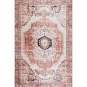 nuLOOM Vintage Minna Area Rug, 4x6, Multi