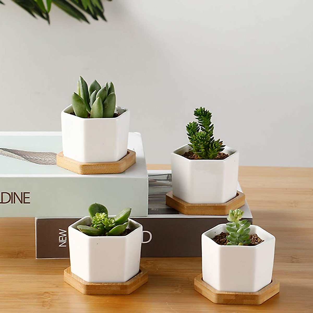 Ochine 3 Inches Ceramic Cactus Flower Pot with Bamboo Tray Small Succulent Planter Modern Indoor Outdoor Plant Pots Set Home Planters Container Bonsai Pots with Drainage Hole