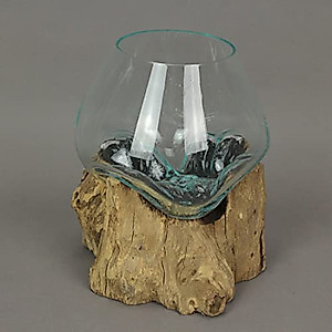Chesapeake Bay Medium Glass Bowl On Driftwood, Brown, 7.5 Inch