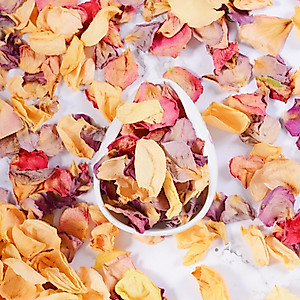 20+ Cups Real Rose Petals Biodegradable Wedding Flower Confetti, 2 QT Mixed Yellow Purple Pink Dried Roses Petals for Wedding Proposal Bath Valentine's Day Party Flower Girl