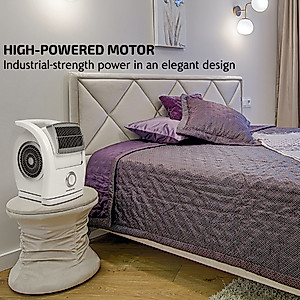 OVENTE Electric Blower Floor Fan 15" with 3-Speed Control, 90° Oscillating and 45° Manual Pivoting Head, Low-Noise Technology and Easy to Clean Air Filter Ideal for Home, Bedroom, Office, White BF74W