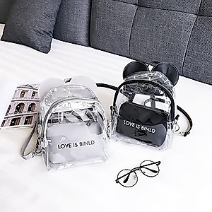 MOSSTYUS Clear Casual Daypack Transparent Crossbody Shoulder Daypack Cosmetic Bag