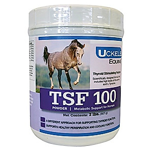 Uckele TSF 100 Horse Supplement - Equine Vitamin & Mineral Supplement - 2 Pound (lb)