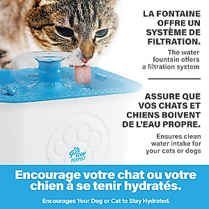 Pet Water Fountain, Dog Cat Water Fountain 84oz/2.5L, Automatic Ultra Quiet Pet Water Fountain Water Dispenser, Dog Bowl Dispenser with Super Long Life Span Pump, 3 Triple Filters, White