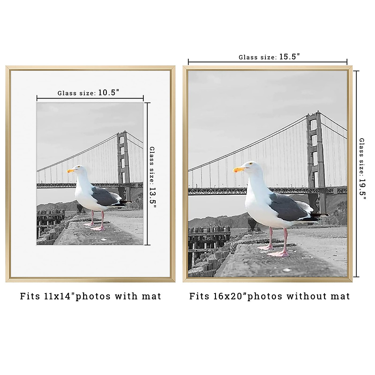 Frametory, 16x20 Metal Picture Frame with Mat for 11x14 Picture & Real Glass, Aluminum Photo Frame Collection (Gold, 2 Pack)