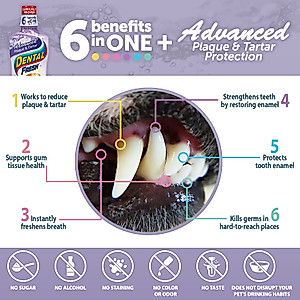 DENTAL FRESH Water Additives Bundle for Dogs & Cats,Original Formula 32oz & Advanced Plaque & Tartar Formula 17oz,Helps improve overall oral health, better breath, and targets plaque & tartar build up