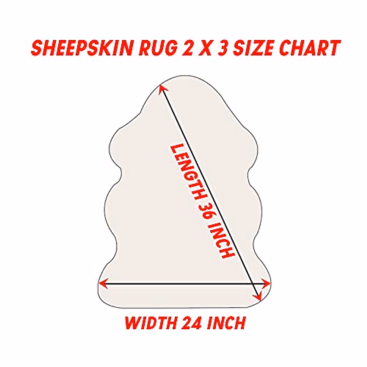 Real Sheepskin Area Rug - Single Pelt Sheep Skin Fur 2x3 Rug (Ivory White)