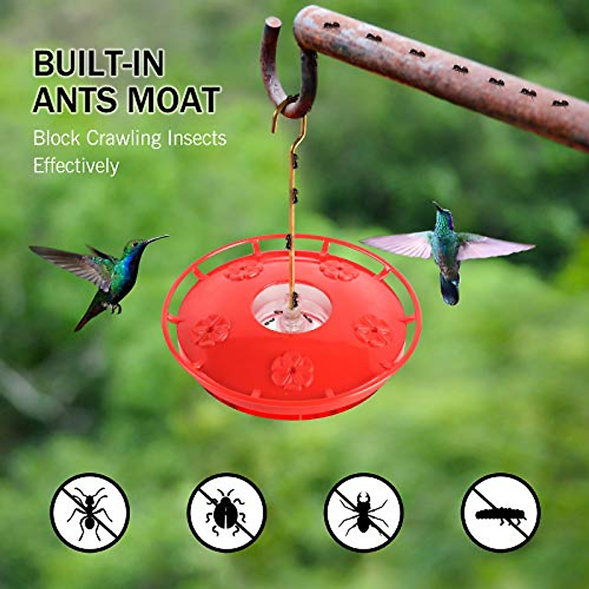 eWonLife Hummingbird Feeder, for Outdoors Hanging, 2 Pack, Leak-Proof, Easy to Clean and Refill, Saucer Humming Bird Feeder, Including Hanging Hook, with 5 Feeding Ports (16 Ounce/Pack)