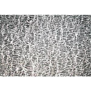 Advantec MFS J100A047A Hydrophobic Membrane Filter, Supported, 47 mm Diameter (Pack of 100)