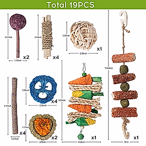 SMANGY Rabbit Chew Toys 19pcs,Bunny Toys for Rabbits,Natural Timothy Hay Sticks for Teeth,Handmade Chew Treats and Balls for Bunny, Chinchilla,Bunny Teeth Care