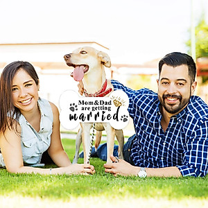 10 Pieces Engagement Photo Props Engagement Announcement Photo Prop Kit Photo Signs Cardboard for Engagement Wedding Party e