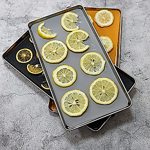 PIAOLGYI Tray Mats for Harvest Right Freeze Dryer Medium Trays,Silicone Accessories Compatible with Harvest Right Freeze Dryer Medium Trays(Green)