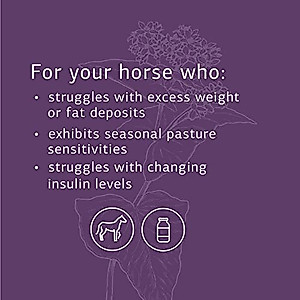 Standard Process Equine Metabolic Support - Whole Food Horse Supplies for Glucose Metabolism and Antioxidant Activity with Green Tea Extract, Cayenne Pepper, Licorice Root - 40oz
