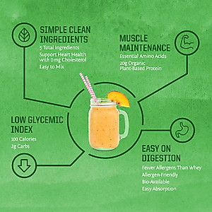 Brown Rice Protein Powder with Bcaa & Amino Acids Raw Rice Protein Shake Gluten Free Low Carb Dairy Free | Plant Based Classic Sprouted Brown Rice Protein Powder Vanilla 375g by Sunwarrior