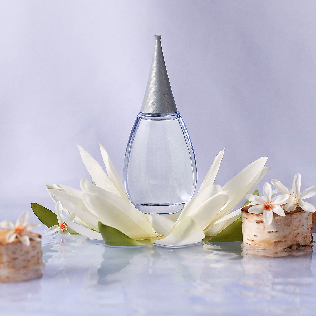 Alfred Sung Women's Perfume, Shi, Eau De Parfum EDP Spray 3.4 Fl Oz