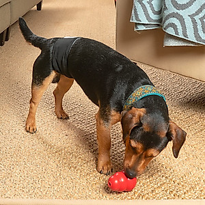 Pet Parents Premium Washable Dog Belly Bands & Extendrs, (3pack) of Male Dog Diapers, Male Dog Wraps, High Absorbing Belly Band for Male Dogs, Color: Black, Size: Extra Large Dog Belly Band