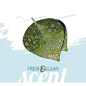 Green Groom Odor Eliminator Dog Shampoo, 16 oz - Crafted with Odortrol, All Natural Ingredients, Antioxidant Rich, Eliminates Smelly Pet Odors, Powerful Deodorizing Formula, Professional Grade