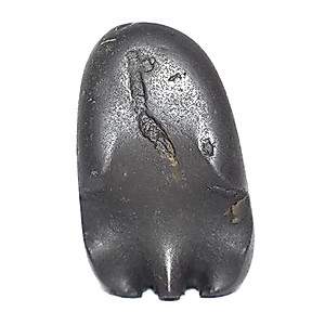 Rudrakshguru Hayagriva Shaligram - Gandaki River Nepal