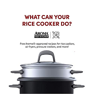 Aroma Housewares 6-Cup (Cooked) Pot-Style Rice Cooker and Food Steamer, Black ARC-743-1NGB