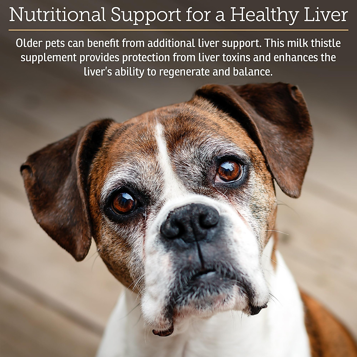 Rx Vitamins Hepato Support for Dogs & Cats - Liver Support Supplement with Milk Thistle for Dogs and Cats - Hepatic Dog Supplement Enriched with Vitamin B Complex - 180 Capsules