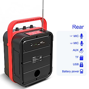 Shinco Bluetooth Speaker with Microphone, Portable Karaoke Machine with Remote Control, Audio Recording, FM Radio, Perfect for Kids