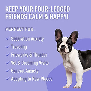 Nature's Synergy Melatonin and Hemp Oil for Dogs, Cats & Pets, 2 Pack, Calming Sleep Support, Omega Fatty Acids for Hip and Joint Support, Skin and Coat Health, Stress from Travel, Separation