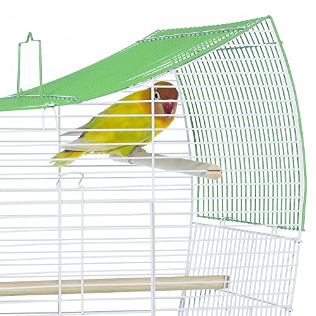 Prevue Pet Products South Beach Wave Top Bird Cage, Lime Green (SP50081)