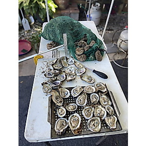 Oyster Shucker Machine, Oyster Clam Shucking Kit